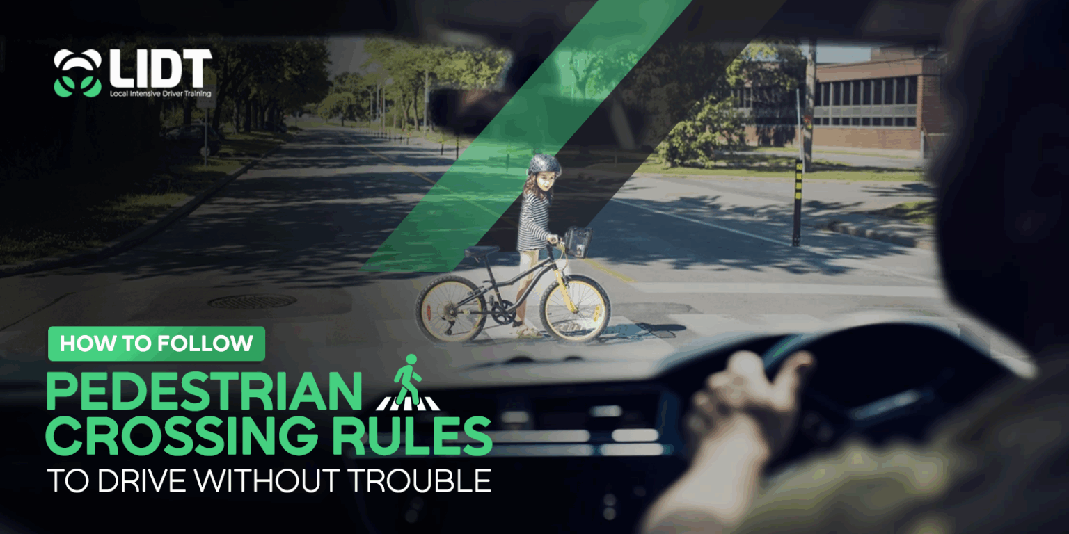 How to Follow Pedestrian Crossing Rules to Drive Without Trouble